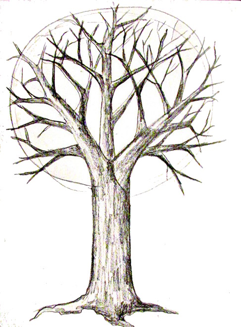How To Draw A Tree