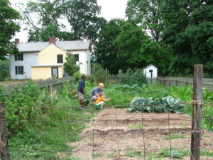 Our Visit To Howell Living History Farm - Happy Family Art