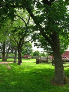 Our Visit To Howell Living History Farm - Happy Family Art