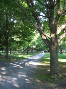 Our Visit To Spruce Run And Round Valley State Parks - Happy Family Art