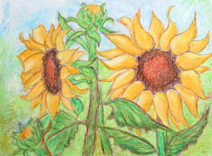 How To Draw Sunflowers - Happy Family Art