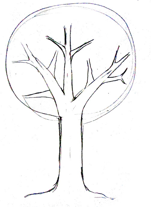 How To Draw A Tree Step By Step Guide