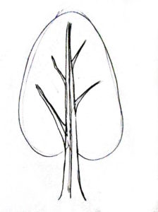 How To Draw A Tree - Happy Family Art
