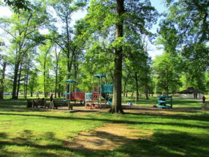 Our Visit To Johnson Park - Happy Family Art