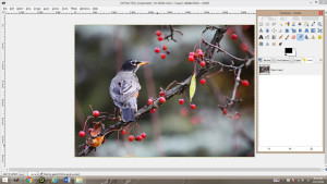 Making Coloring Pages From Photographs Using Gimp - Happy Family Art